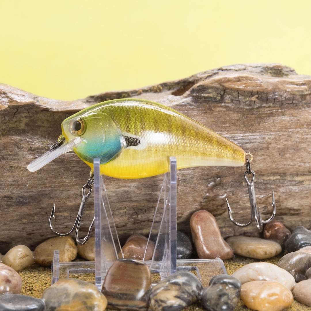Bluegill Premium Painted Squarebill Crankbait Fishing Lure. - Etsy