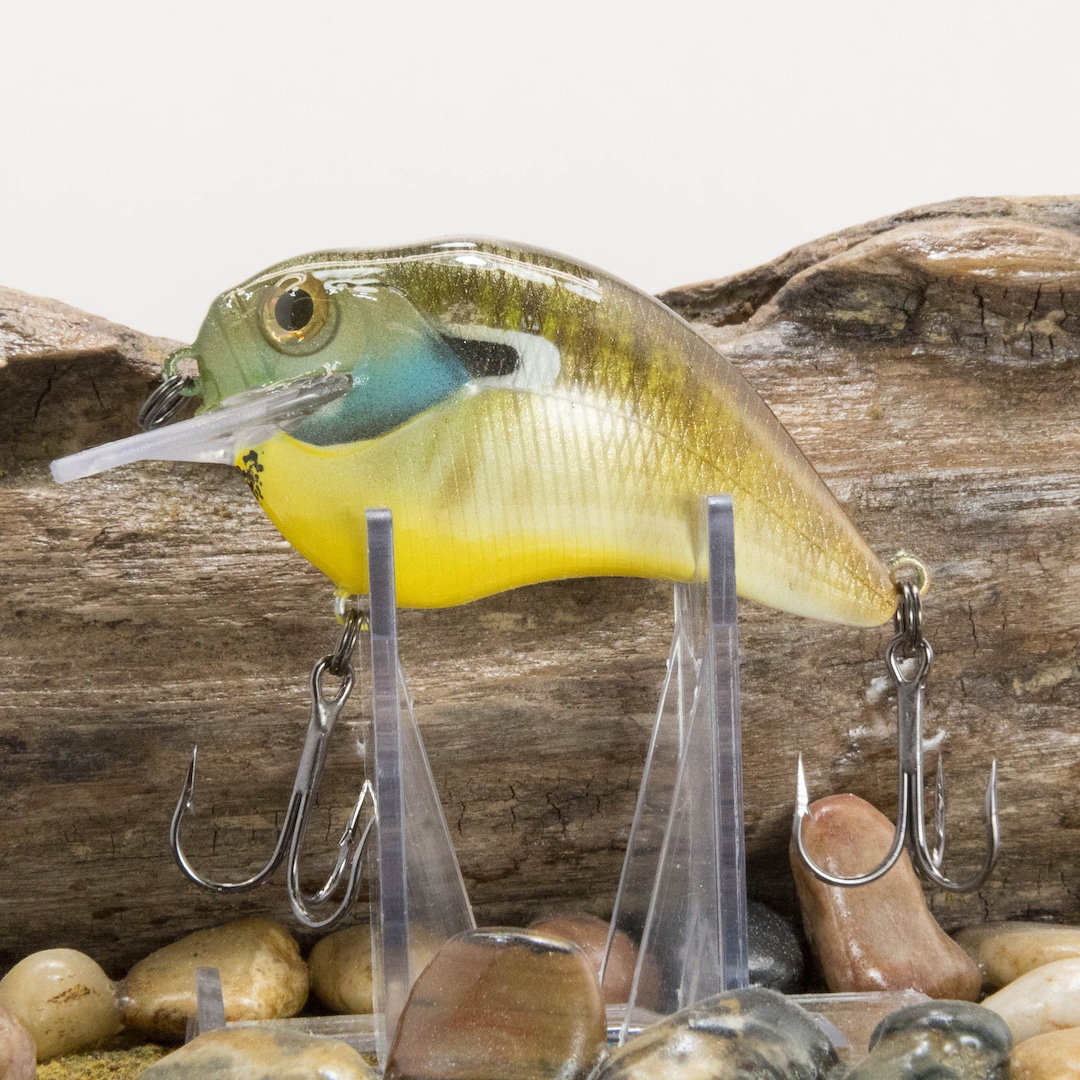 Bluegill. Premium Painted Wide Body Square Bill Crankbait - Etsy