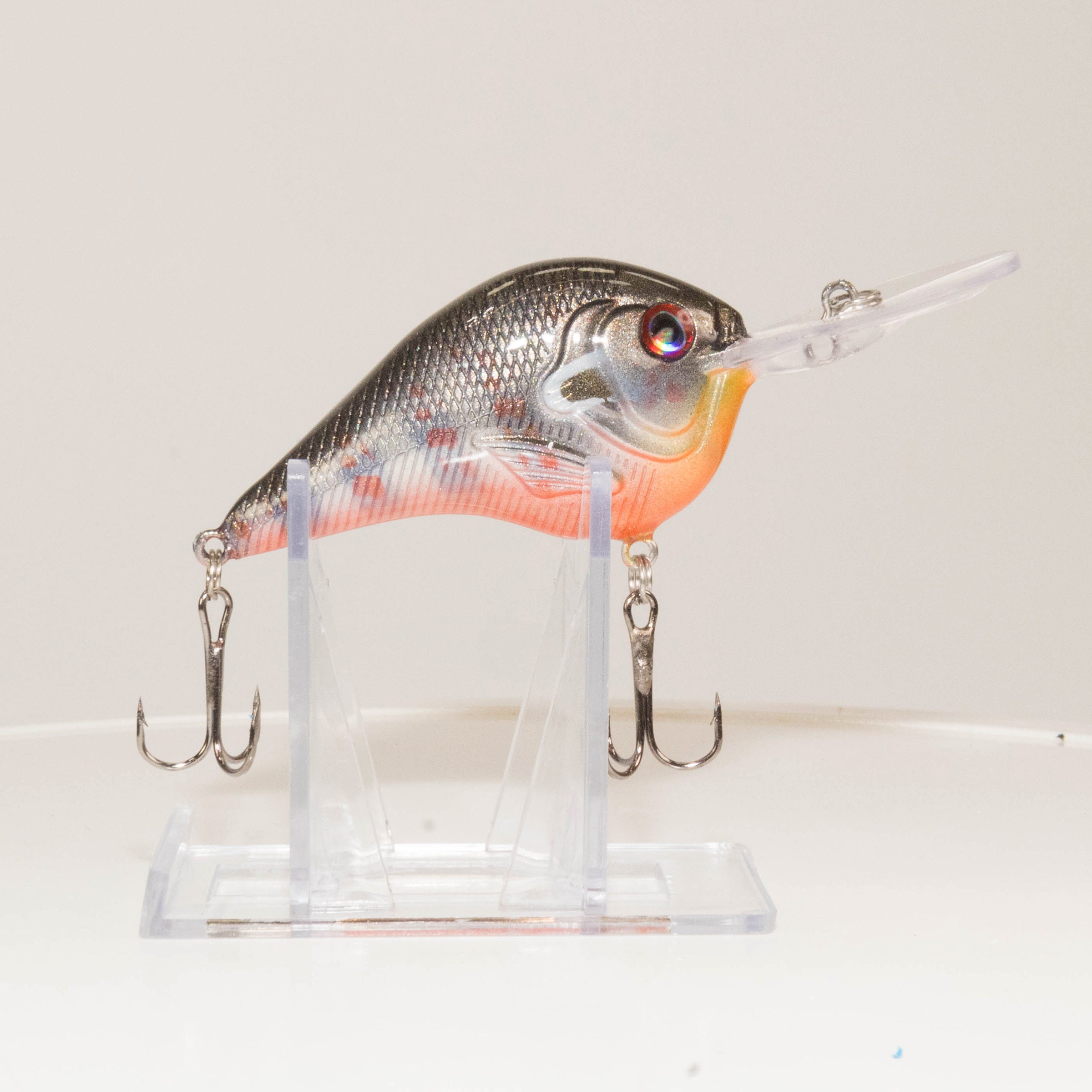 Orange Spotted Sunfish. Premium Custom Painted Diving - Etsy