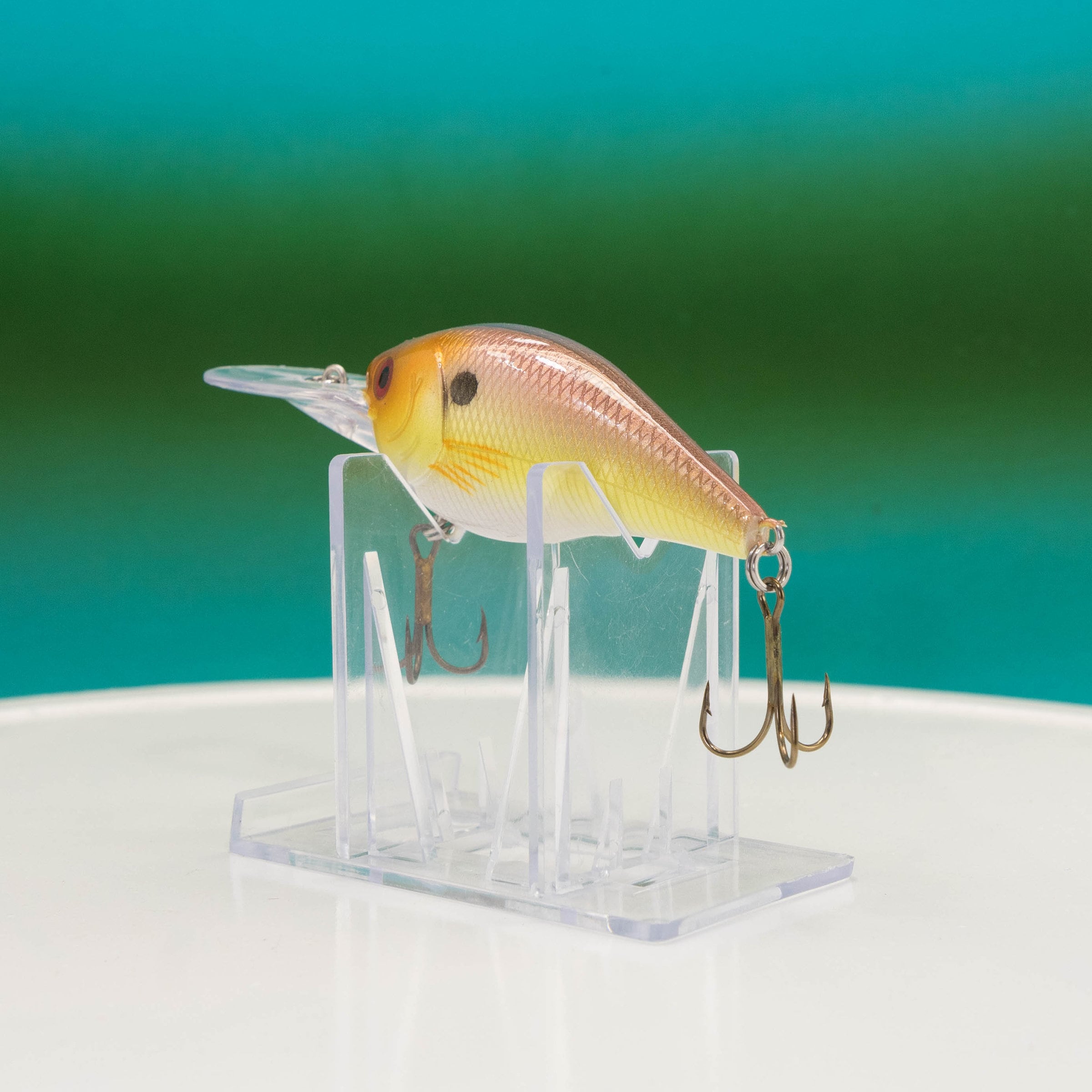 Sunburst Shad. Custom Painted Diving Crankbait Fishing Lure. - Etsy