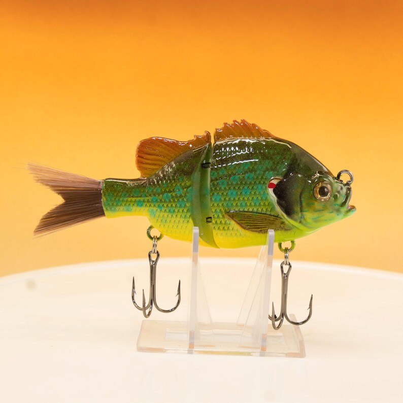 Green Sunfish: Custom Painted Swimbait Fishing Lure - Etsy