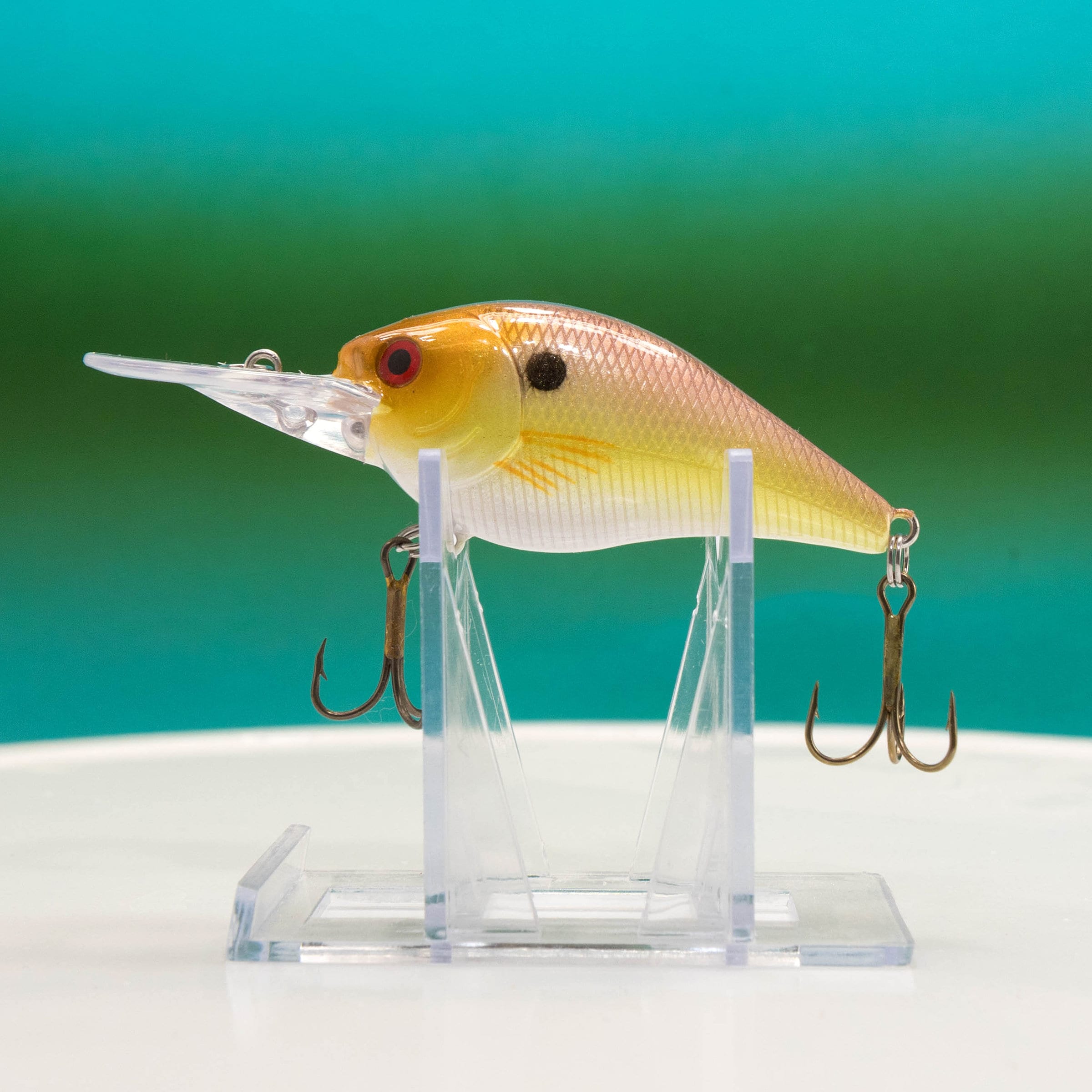 Sunburst Shad. Custom Painted Diving Crankbait Fishing Lure. - Etsy