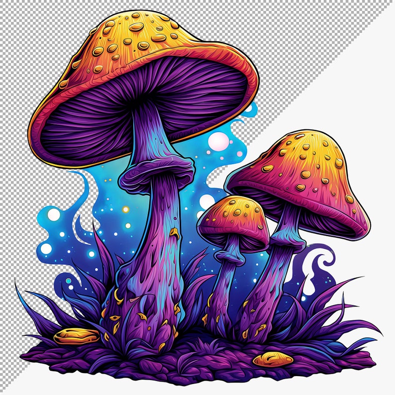 50 PNG Magic Mushrooms Clipart, Fly Agaric Sublimation, Psychedelic ...