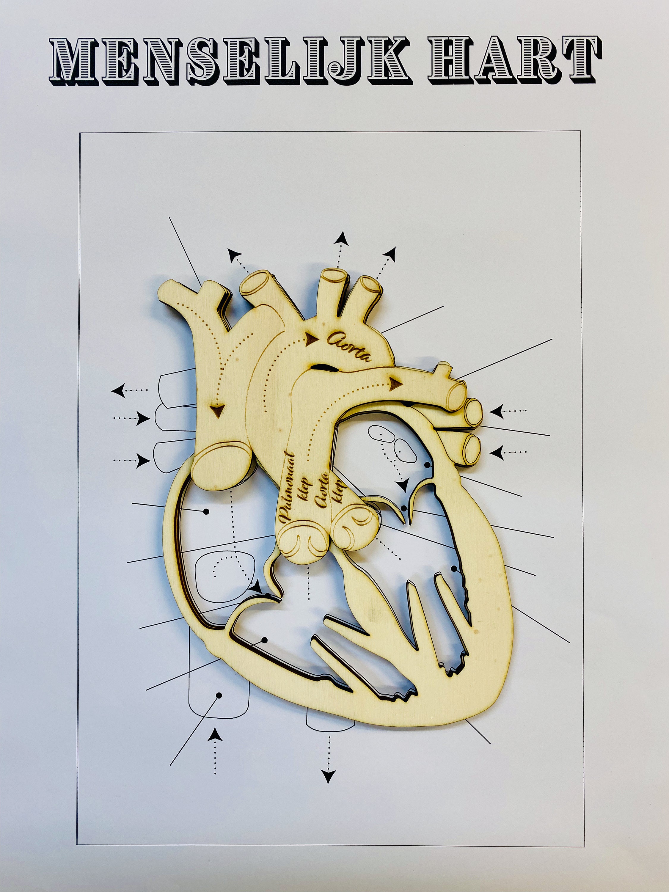 The Human Heart, Laser Cutting and Milling, Design, Digital Vector File ...