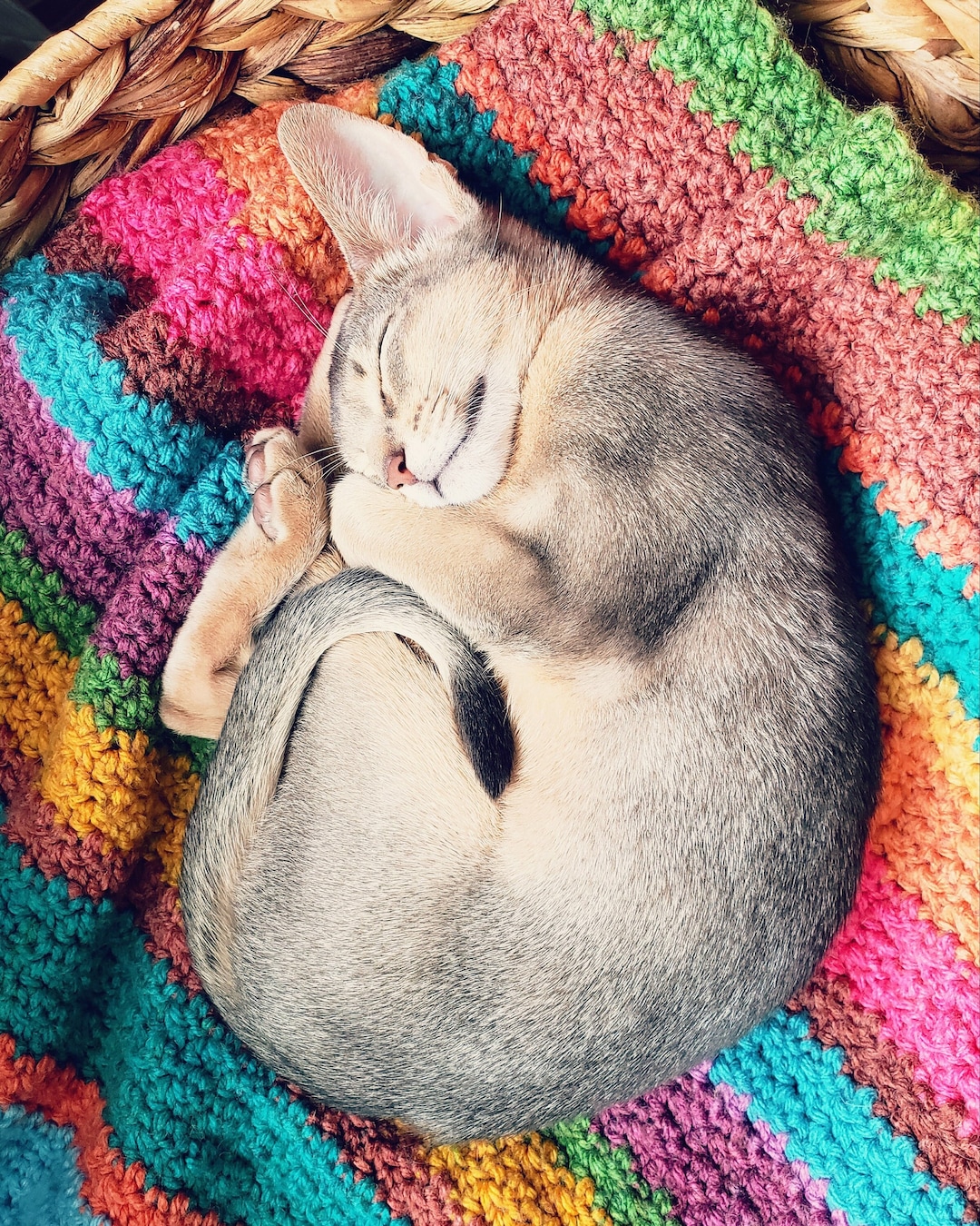 Crochet Blanket for Your Cat - Small and Large - Handmade - Granny ...