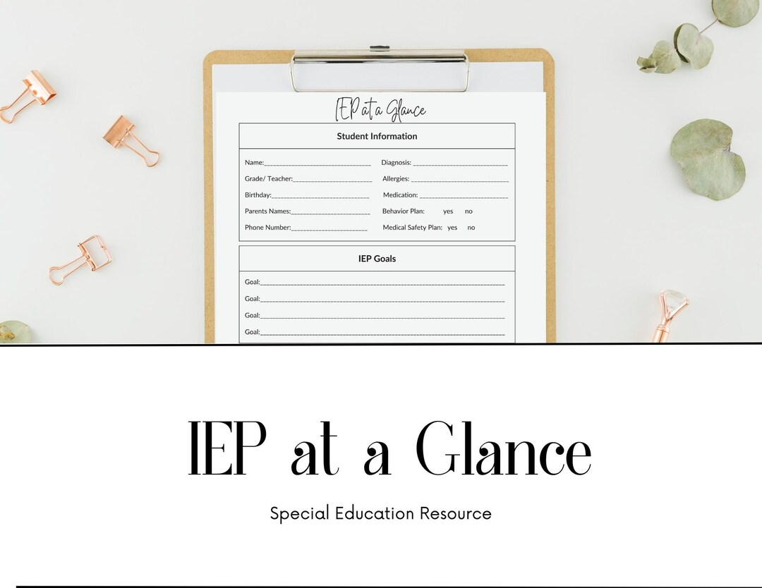 IEP At-a-glance Printable: Special Education IEP Snapshot (instant ...