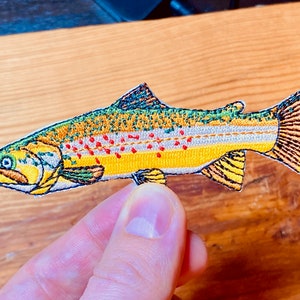 Trout Patch Set of 4 | Rainbow (x2), Brook, Brown | Quality Embroidered ...