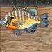 Bluegill Embroidered Iron-on Patch: Fishing Angler Gift - Etsy