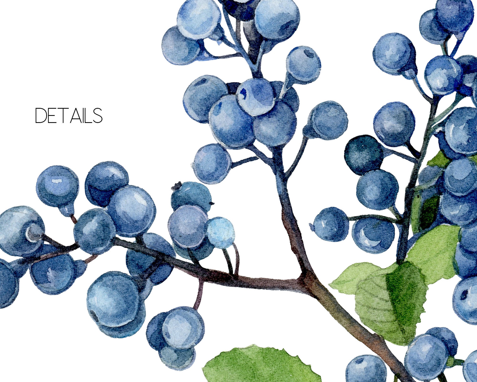 Berry Branch Art Print, Watercolor Berry Wall Decor,country Farmhouse ...