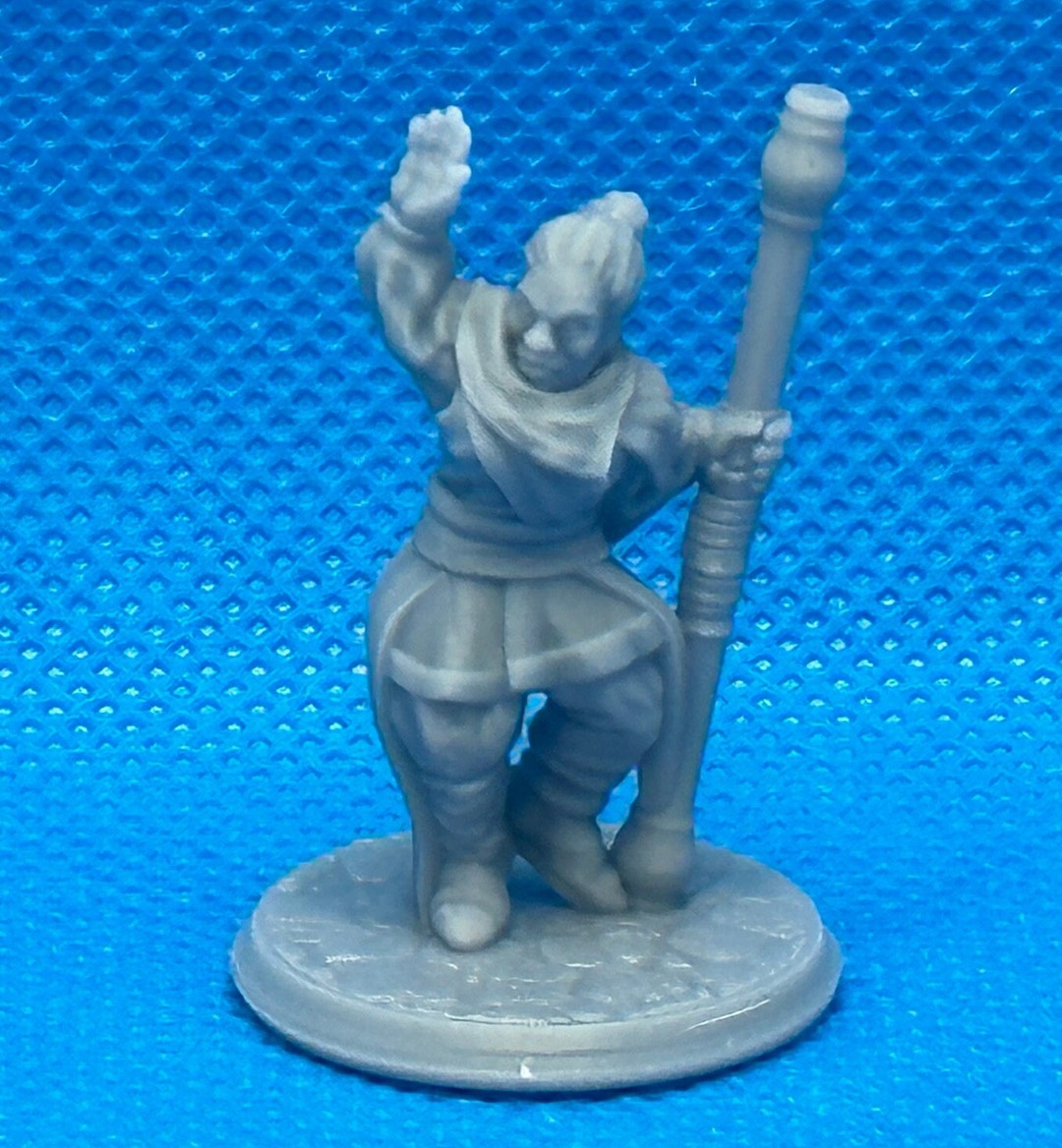 Monk Female, 28mm RPG Miniature, Briteminis - Etsy