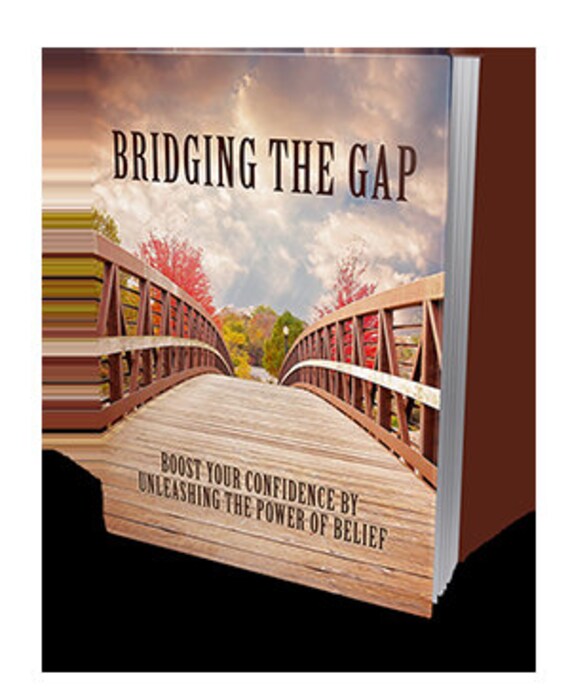 Bridging The Gap Book