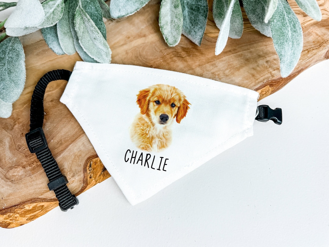Custom Dog Face Bandana With Name, Personalized Dog Face Bandanas, Pet ...