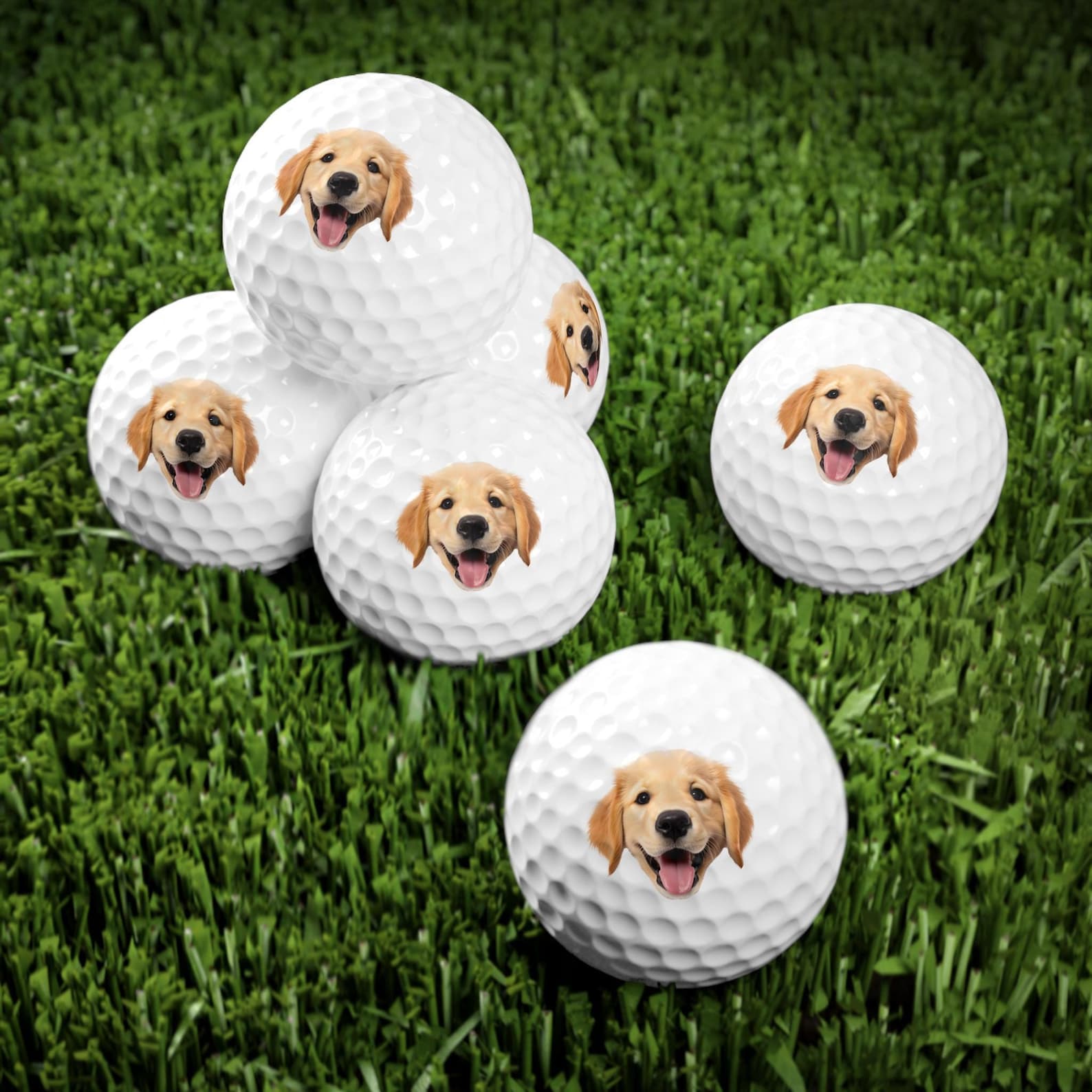 Pet Face Golf Ball, 6 Pcs Set, Fun Golf Gift Idea for Husband ...