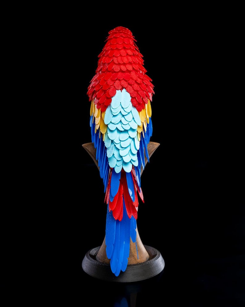 Macaw Feather Puzzle - Etsy