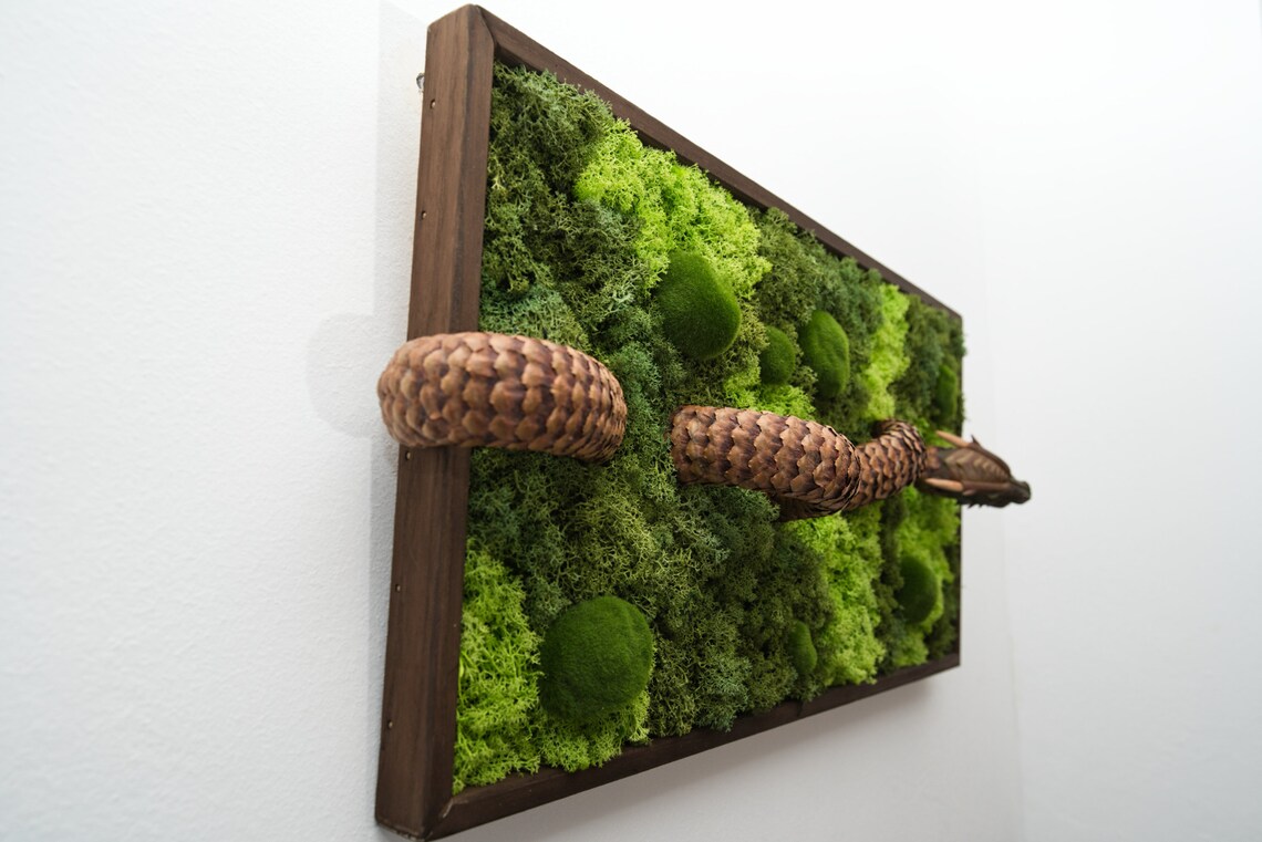 Green Dragon Real Moss 3D Picture Real Wooden Frame - Etsy