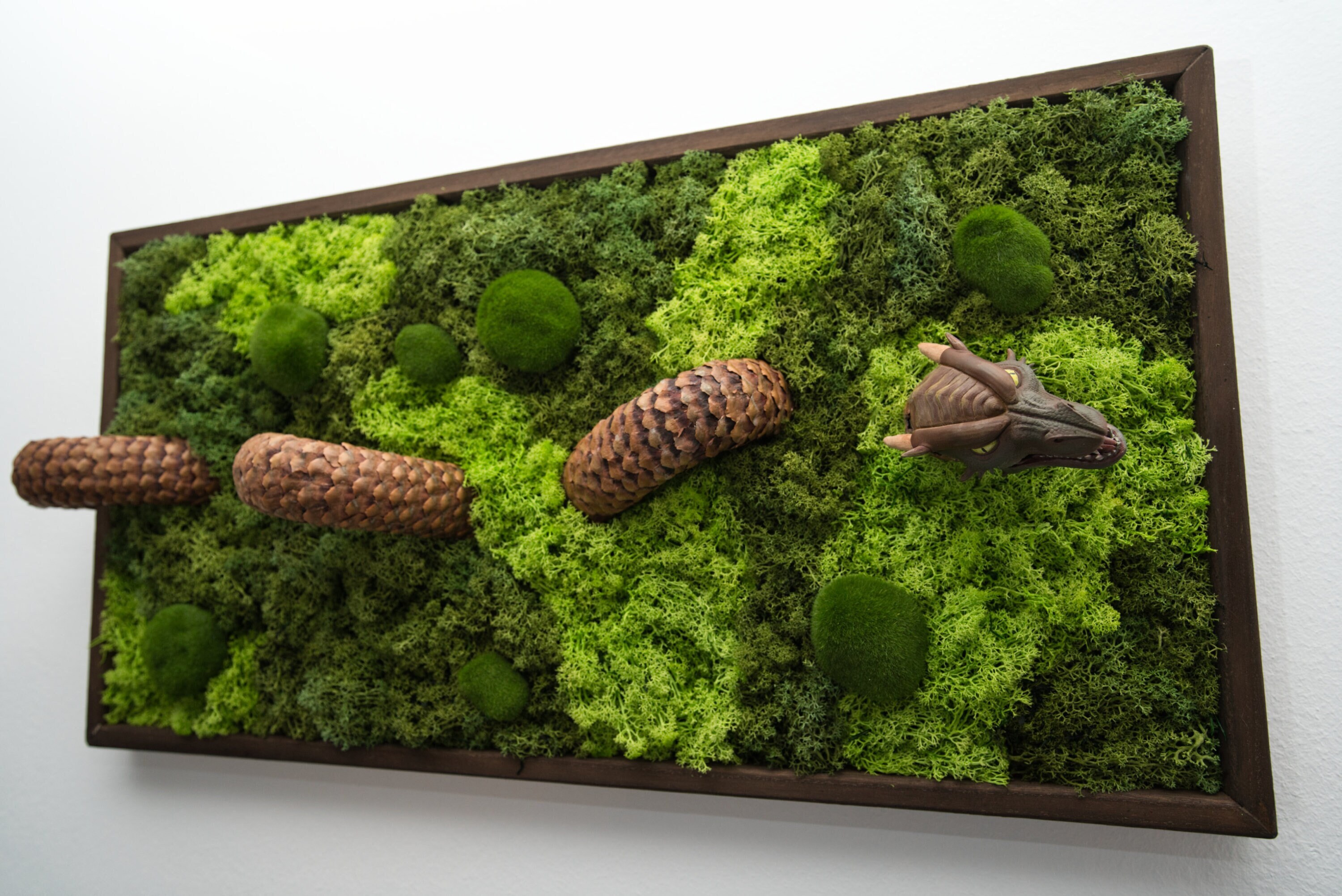 Green Dragon Real Moss 3D Picture Real Wooden Frame - Etsy