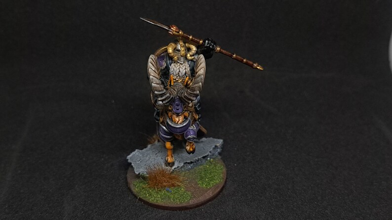 Dwarf Fighter Paladin on Goat Mount - Etsy