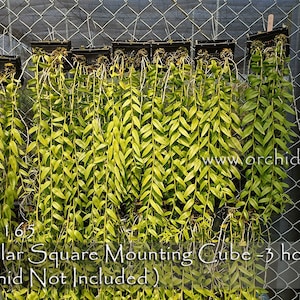 Set of 3 , Modular Square Mounting Cube -3 Holes 'note: 5.5" X 4.5" X 1 ...