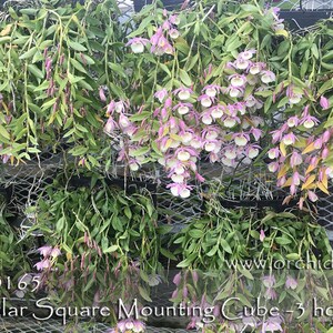 Set of 3 , Modular Square Mounting Cube -3 Holes 'note: 5.5" X 4.5" X 1 ...