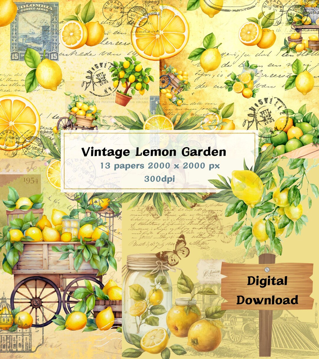 Vintage Lemon Garden Scrapbook Paper - Etsy