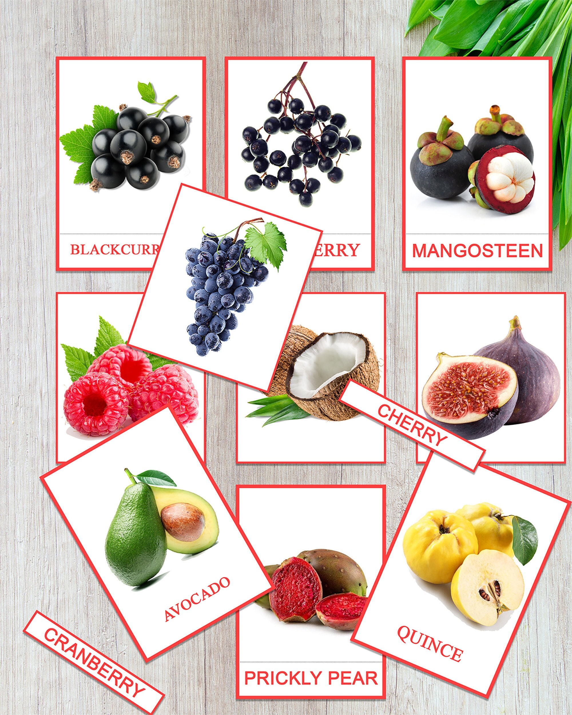 FRUITS Educational Flash Cards/ Montessori Nomenclature 3 Part - Etsy