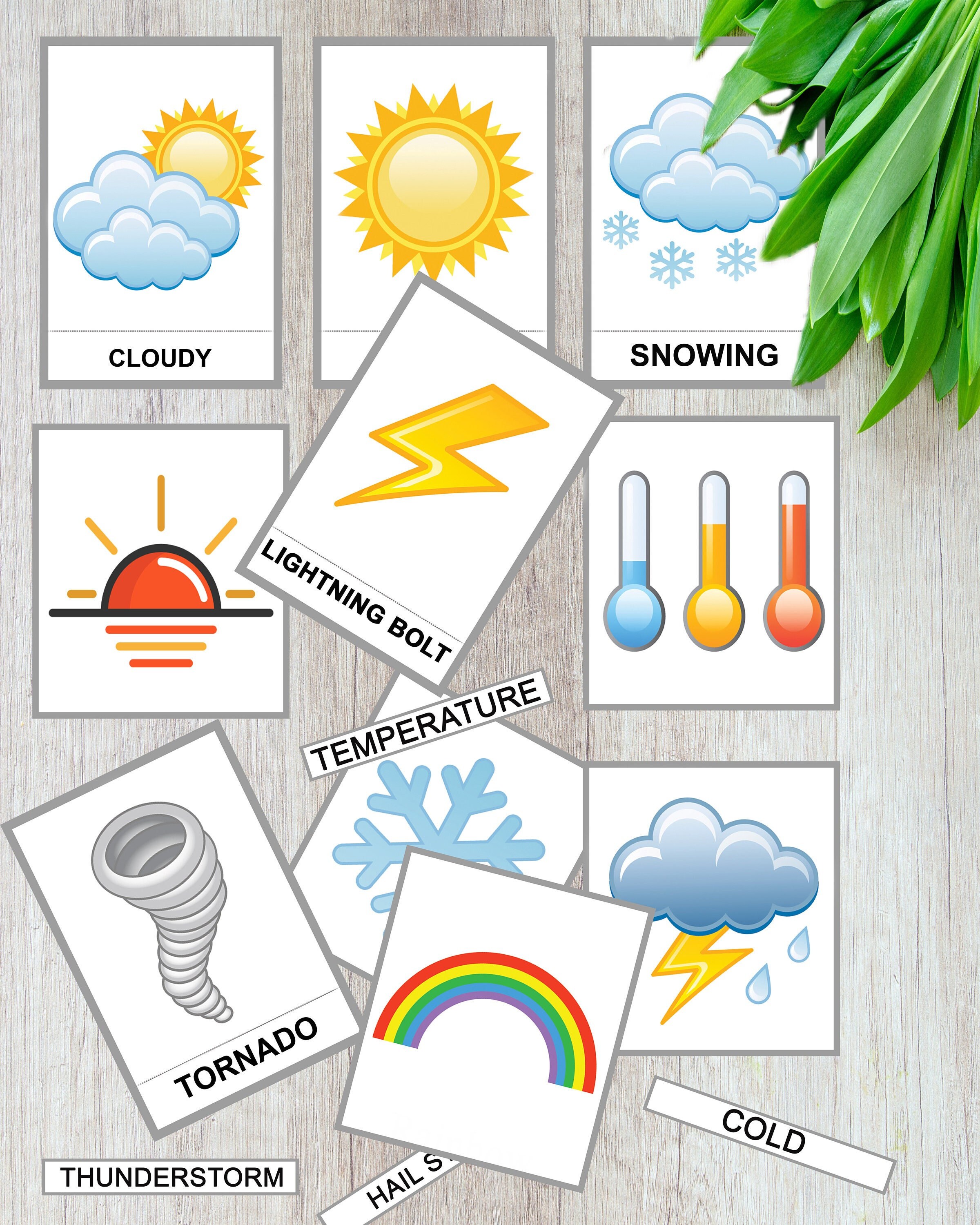 Preschool Weather Cards - Etsy