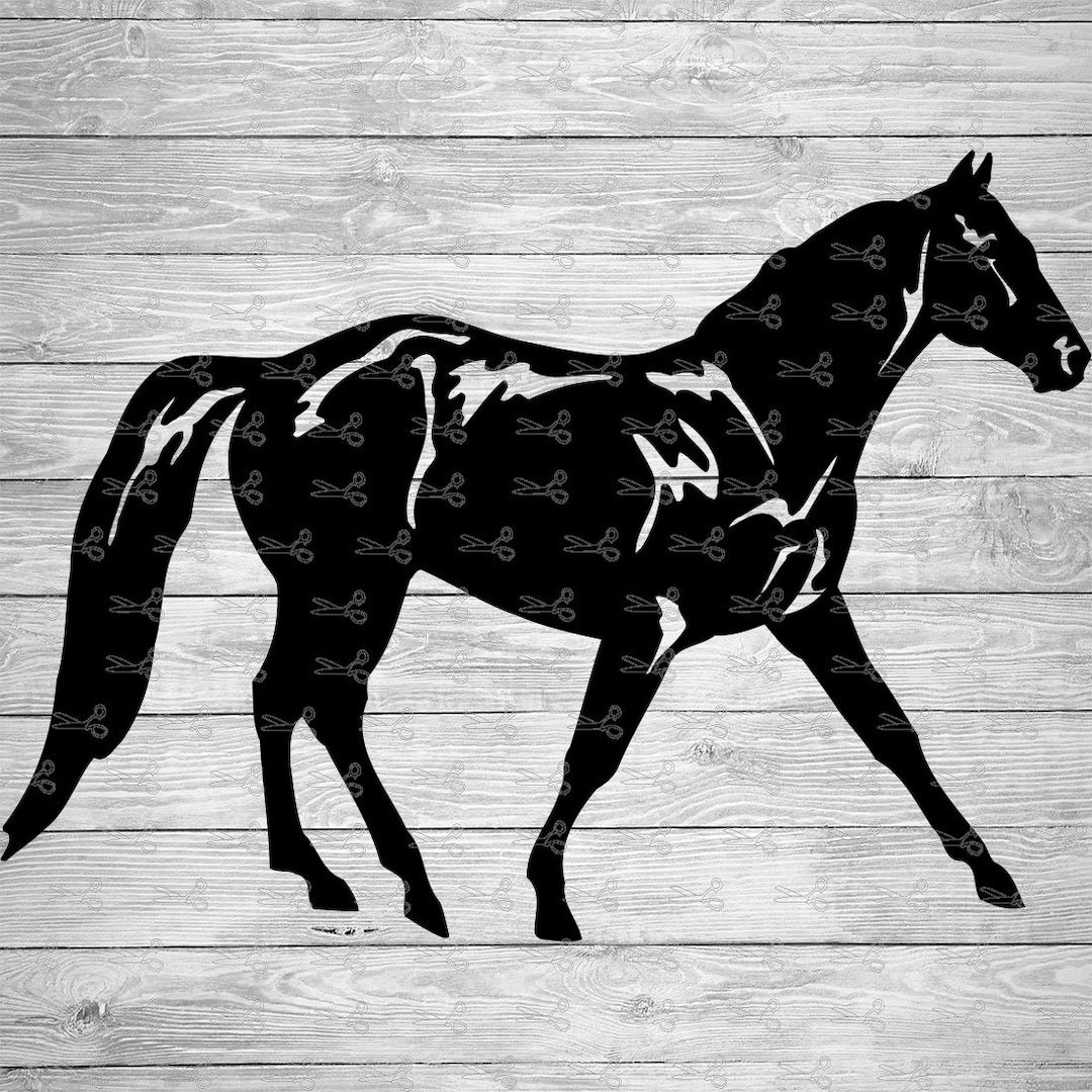 Walking Horse SVG, EPS &PNG Files - Etsy
