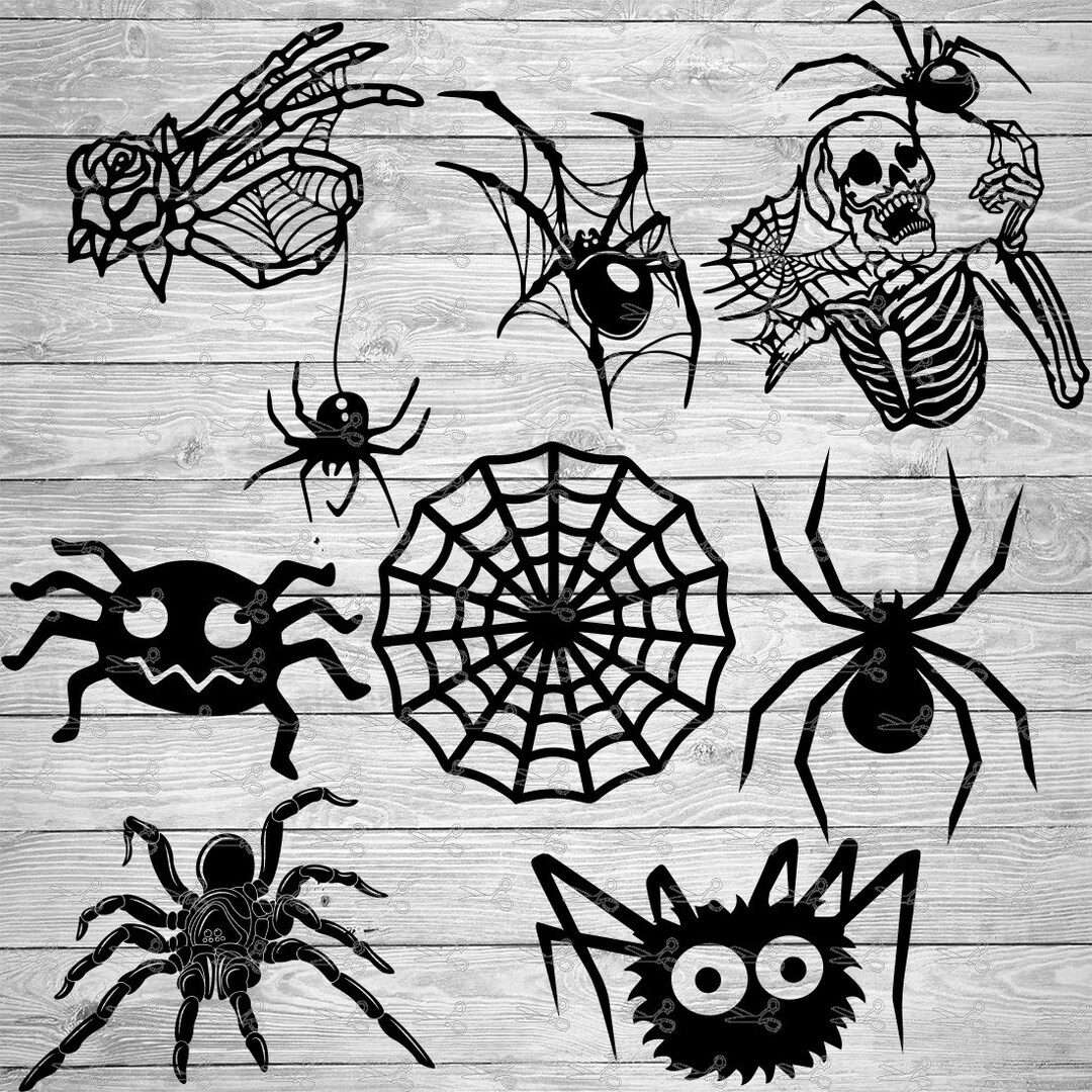 Spider Bundle SVG, EPS &PNG Files - Etsy