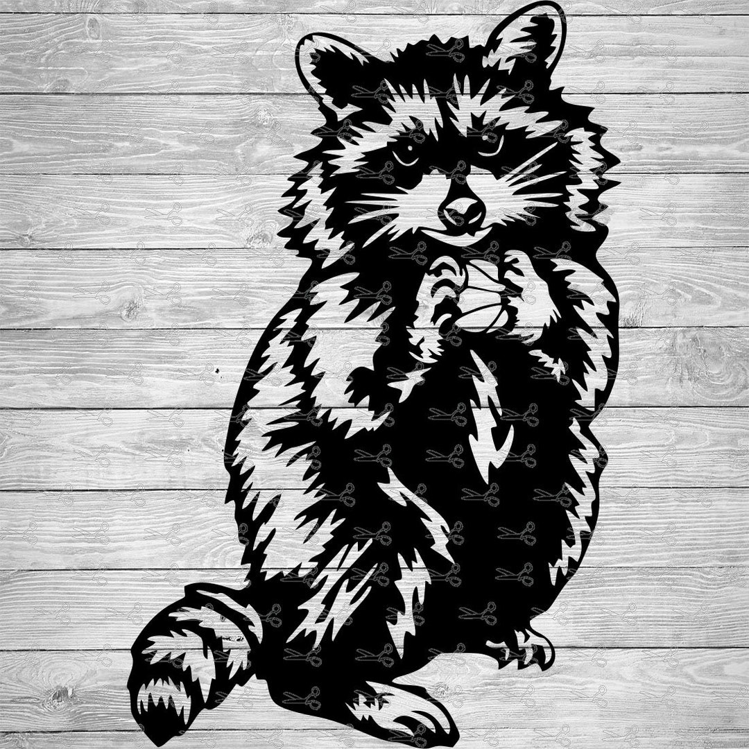 Raccoon With Ball SVG, EPS &PNG Files - Etsy