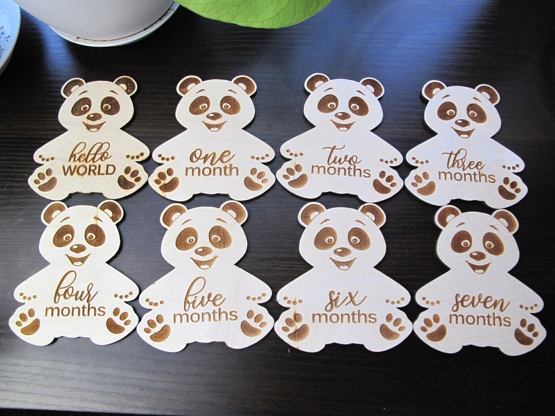 Laser Engraved Panda Birth Milestone Photo Props - Etsy