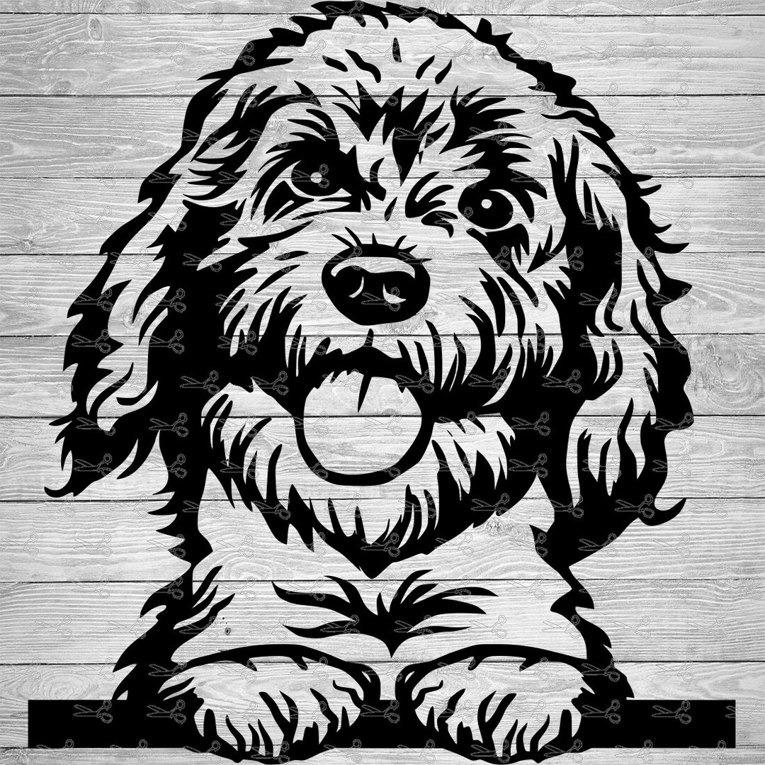 Labradoodle SVG, EPS &PNG Files - Etsy