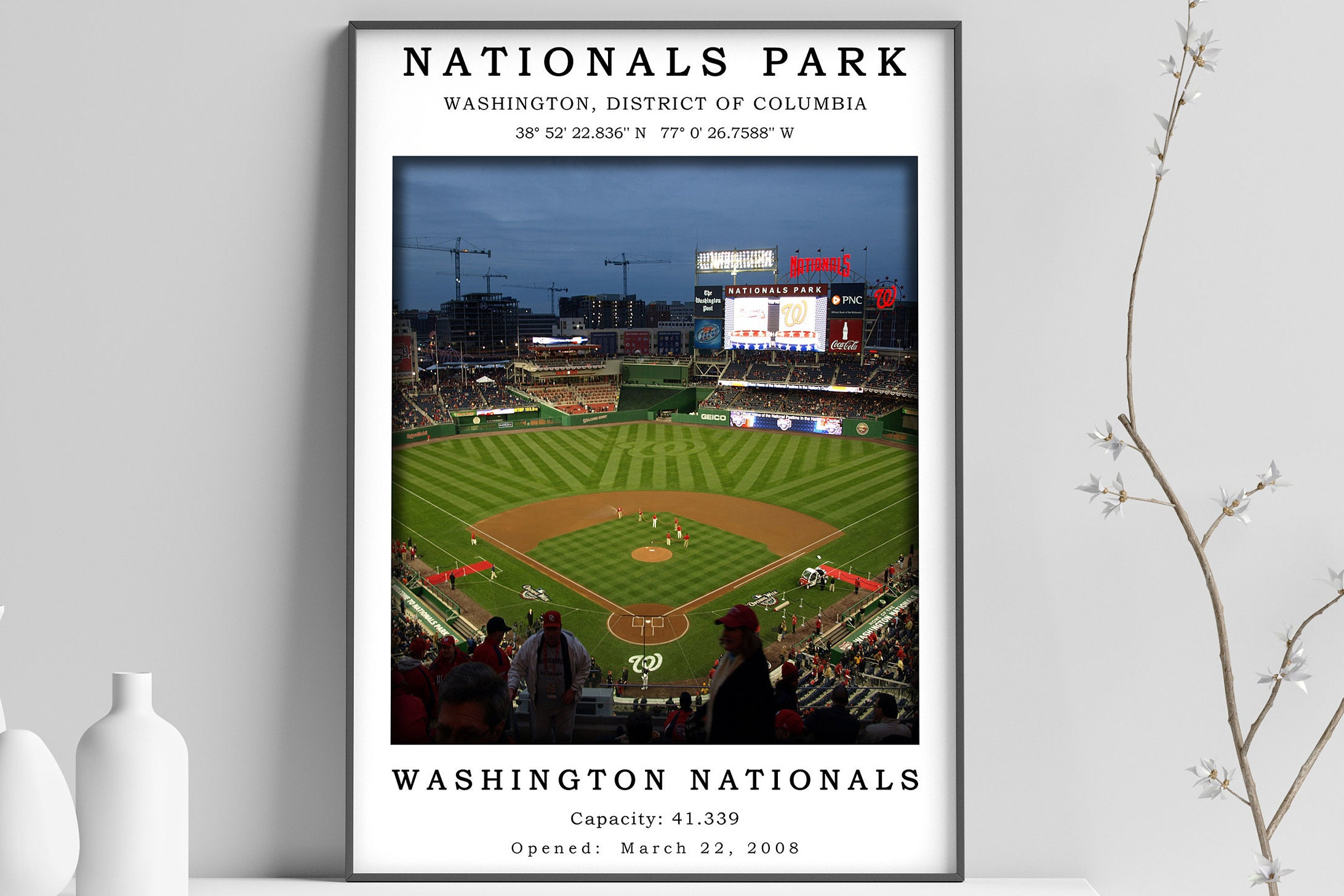Nationals Park Poster