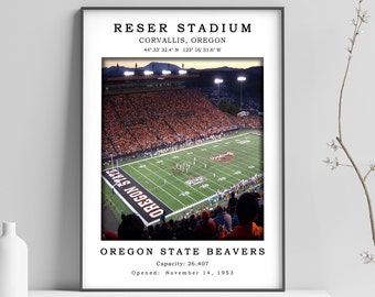 Riser Stadium Poster - Etsy