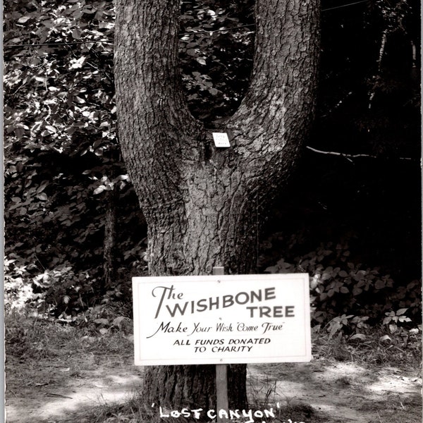 Real Wishbone - Etsy