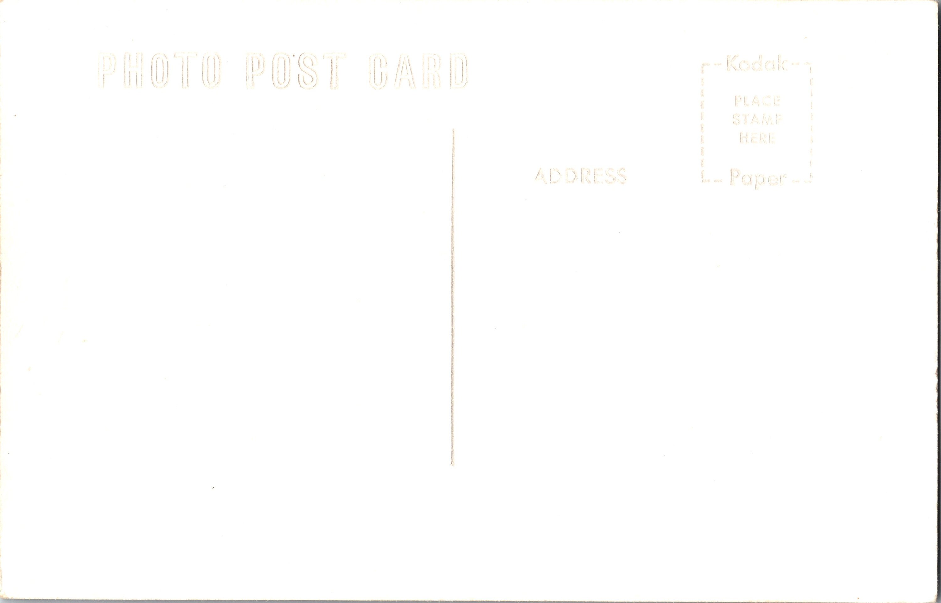 Real Photo Postcard of the Wishbone Tree Lost Canyon Wisconsin Dells ...