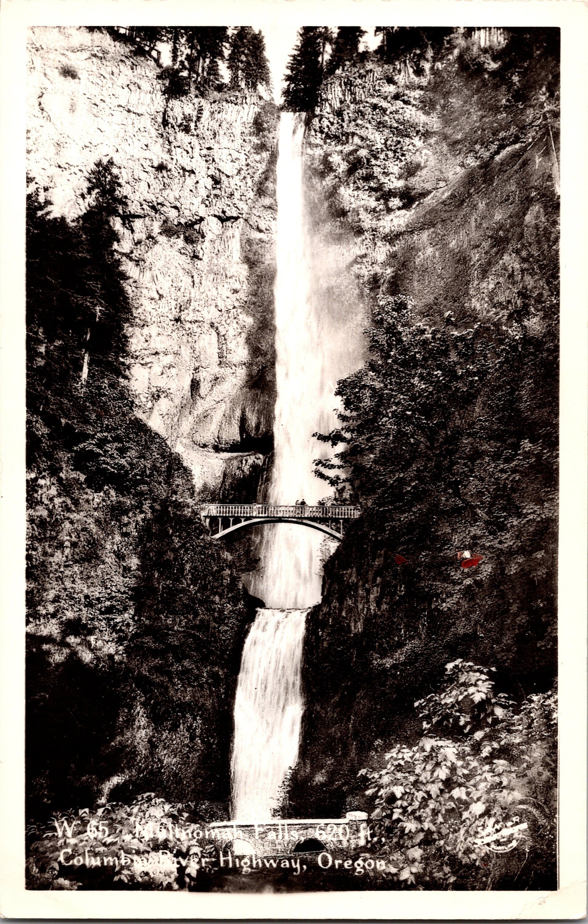 Real Photo Postcard of Multnomah Falls Columbia River Highway - Etsy