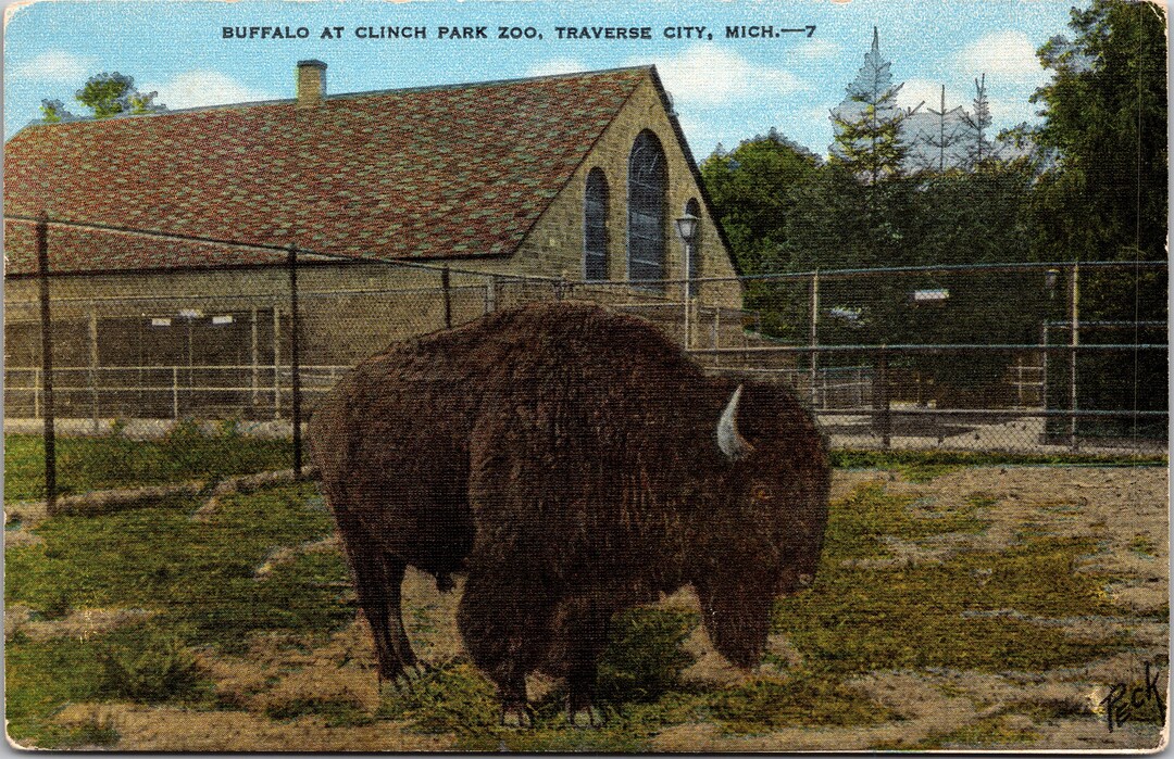 Buffalo at Clinch Park Zoo Traverse City Mich Michigan MI Linen ...