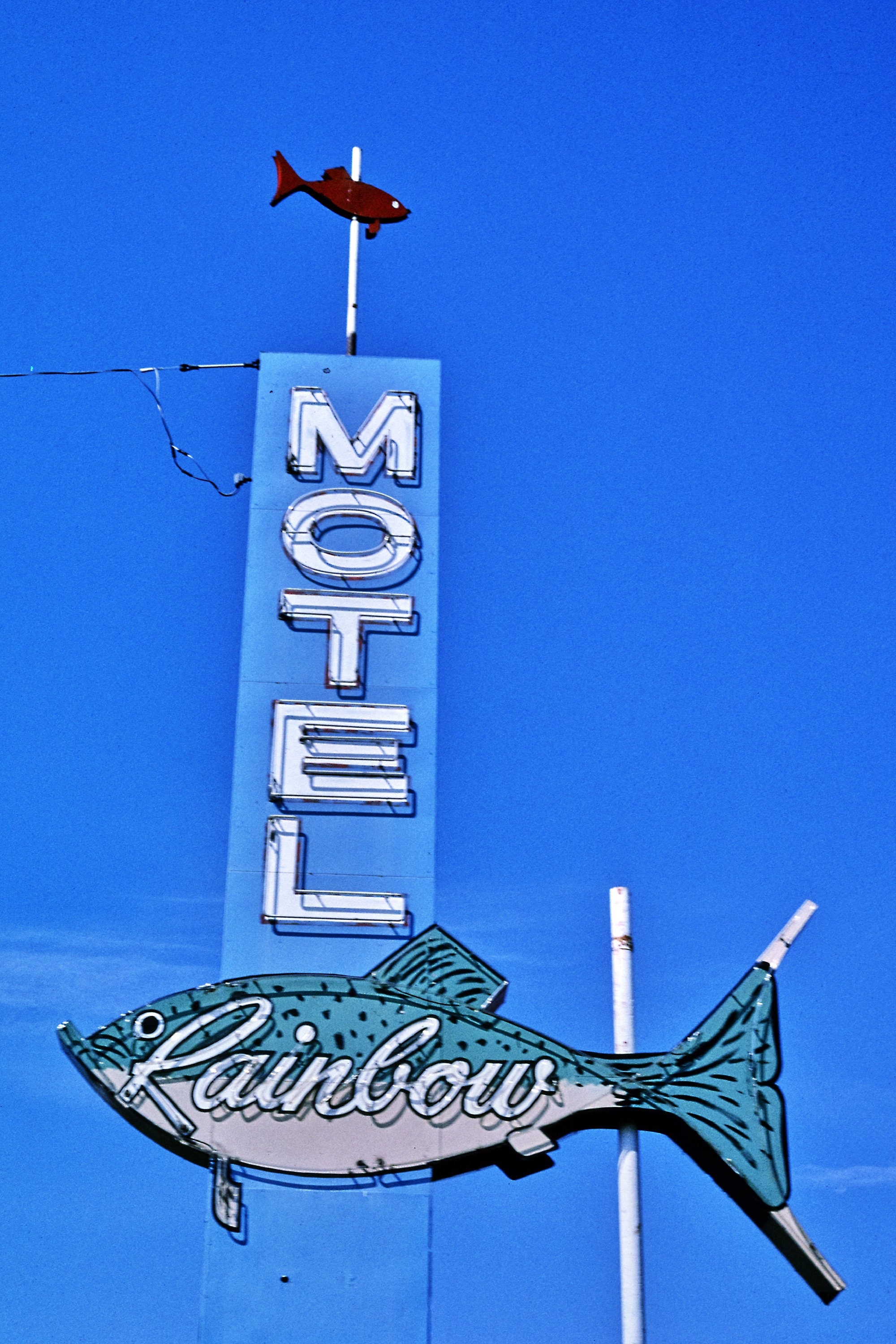 Photographic Print of the Rainbow Motel Sign Giant Trout Livingston ...