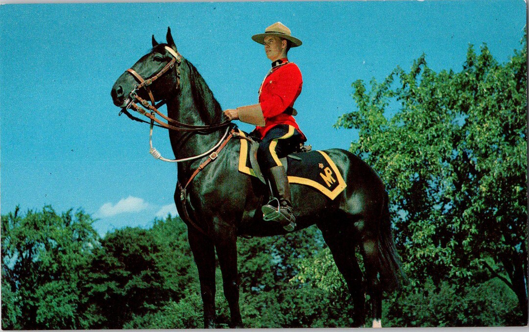 Royal Canadian Mounted Police Mounty on Horseback Iconic Postcard Image ...