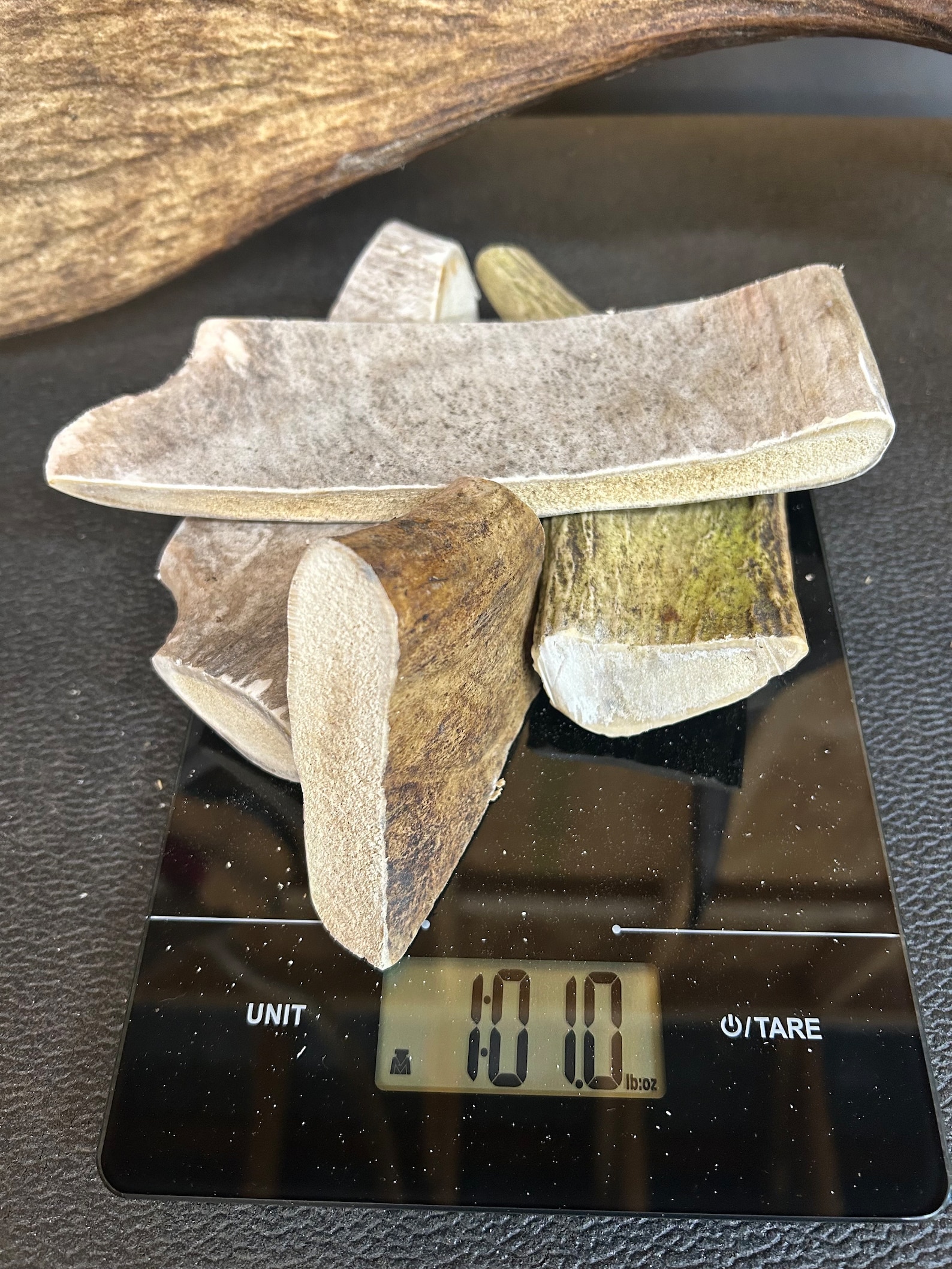 Maine Moose Antler Dog Chews - 1LB - Etsy