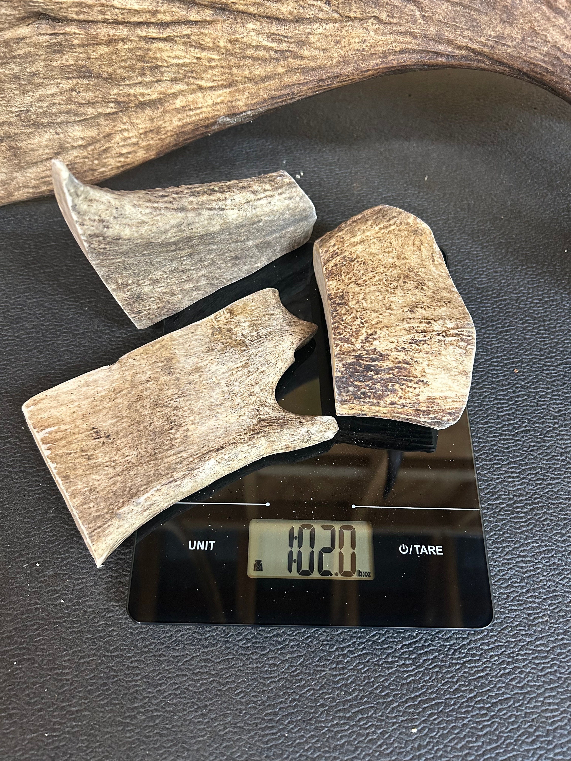 Maine Moose Antler Dog Chews - 1LB - Etsy