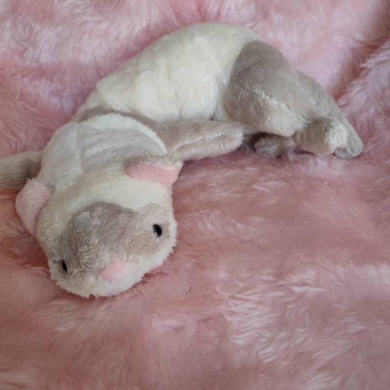 Ferret Toys - Etsy