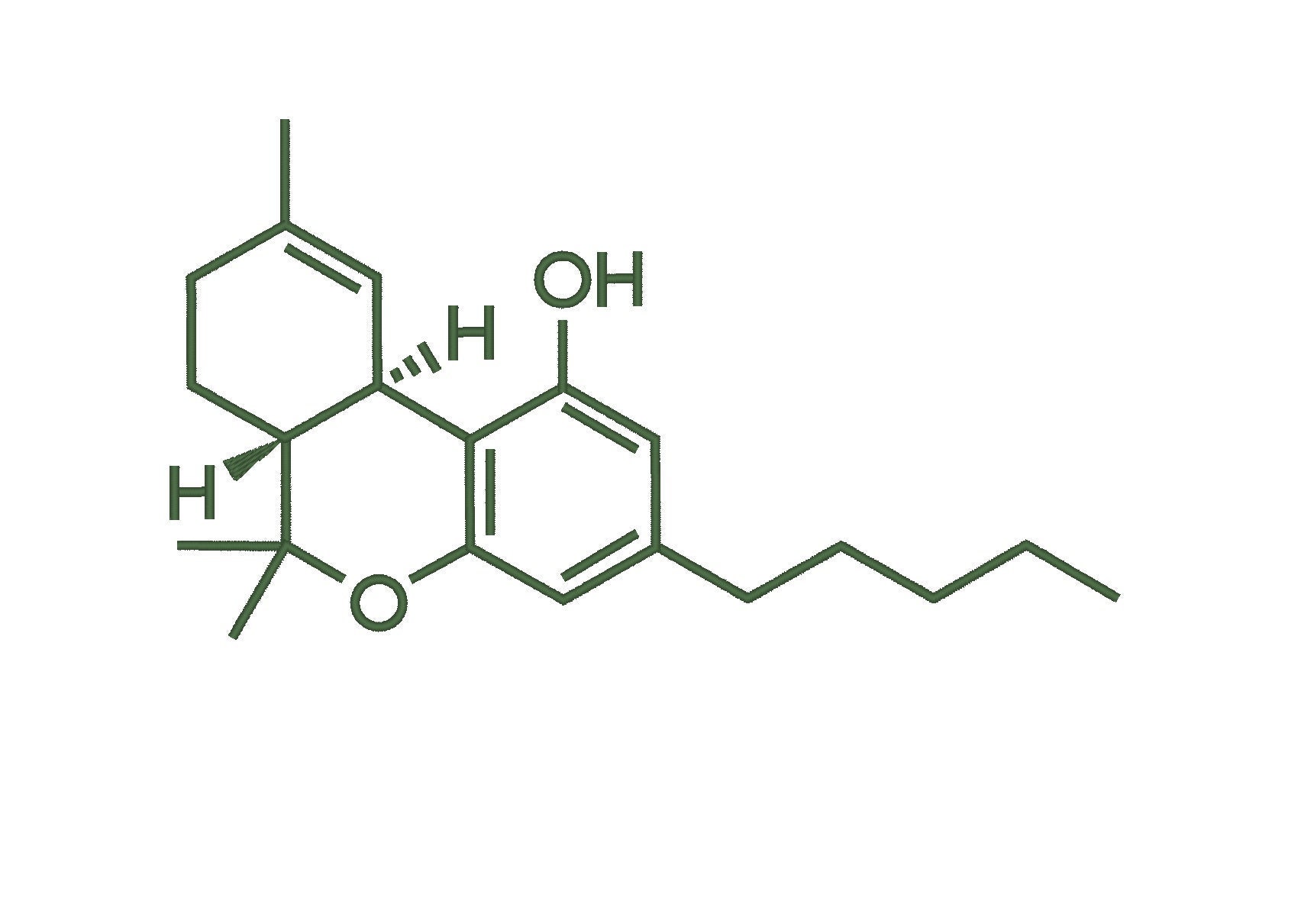Thc Molecule Drawing