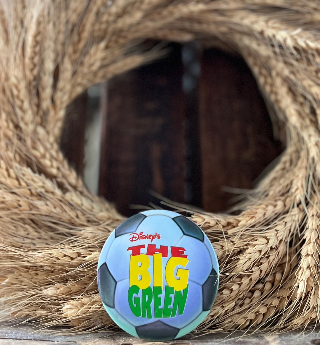 Vintage 1995 the Big Green Movie Pin Back Button, Disney Promo - Etsy
