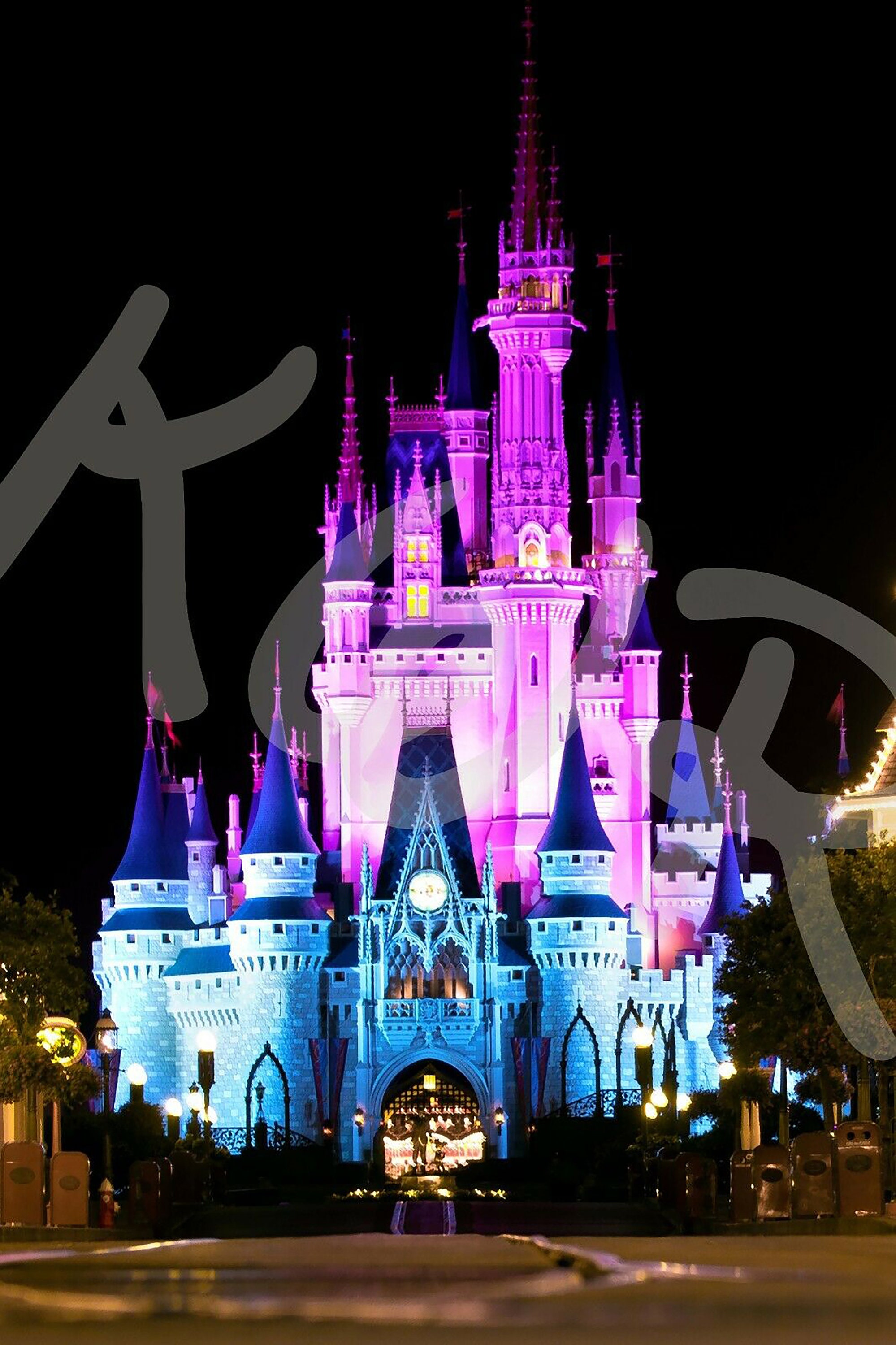 Walt Disney World Wall Art 4 Piece Set Wrapped Canvas Set - Etsy