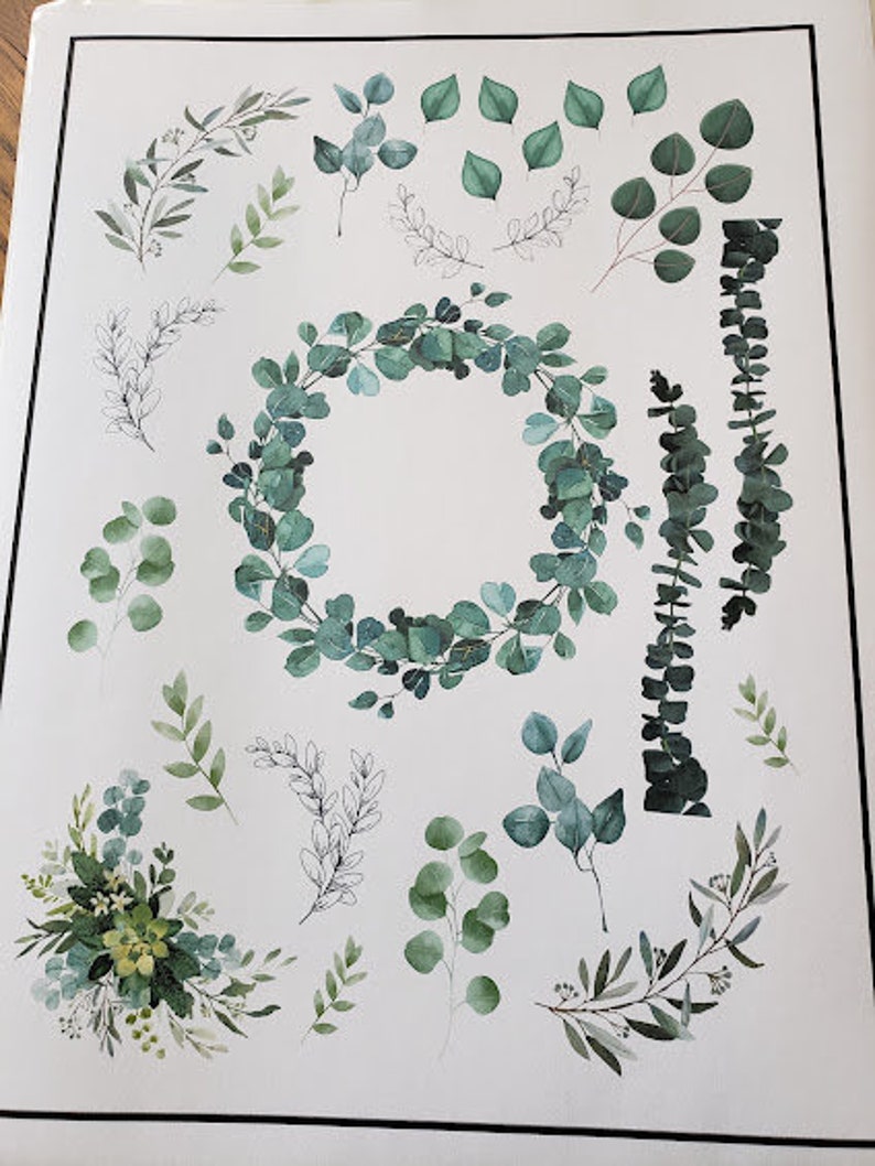 Greenery Sticker Set Plants & Leaves Green Plant Stickers - Etsy