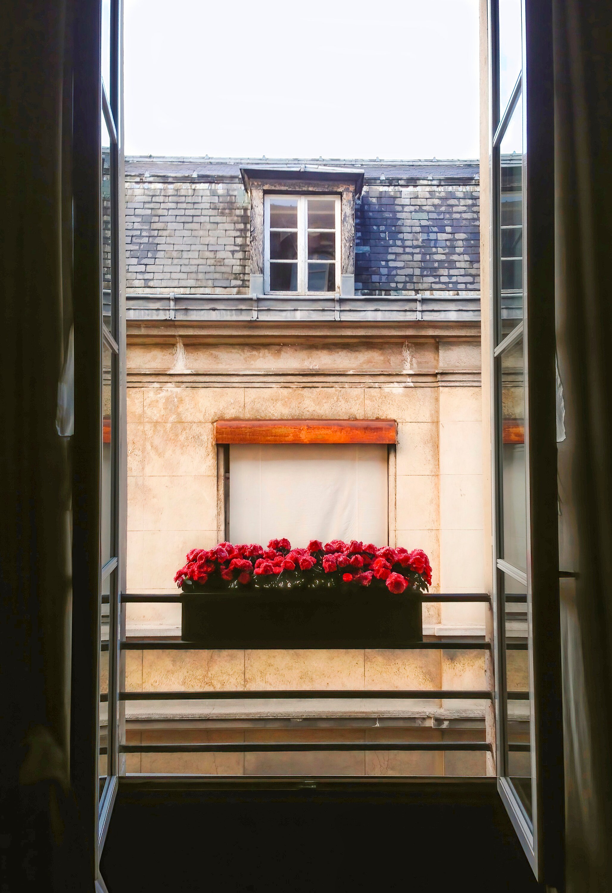 Parisian Window With Red Flowers Classic Paris Architecture Print ...