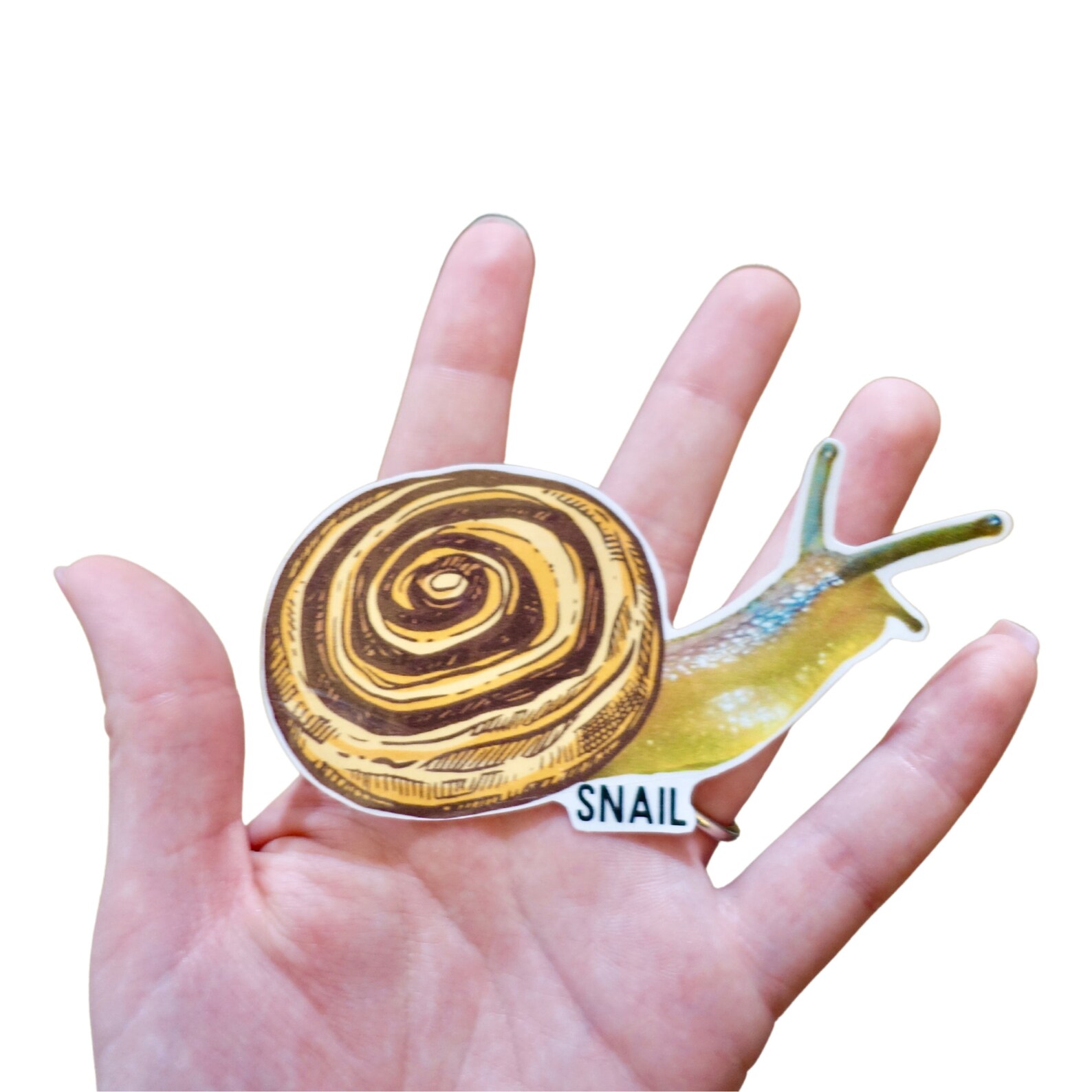 Snail Sticker Animal Sticker Cute Laptop Sticker Funny - Etsy