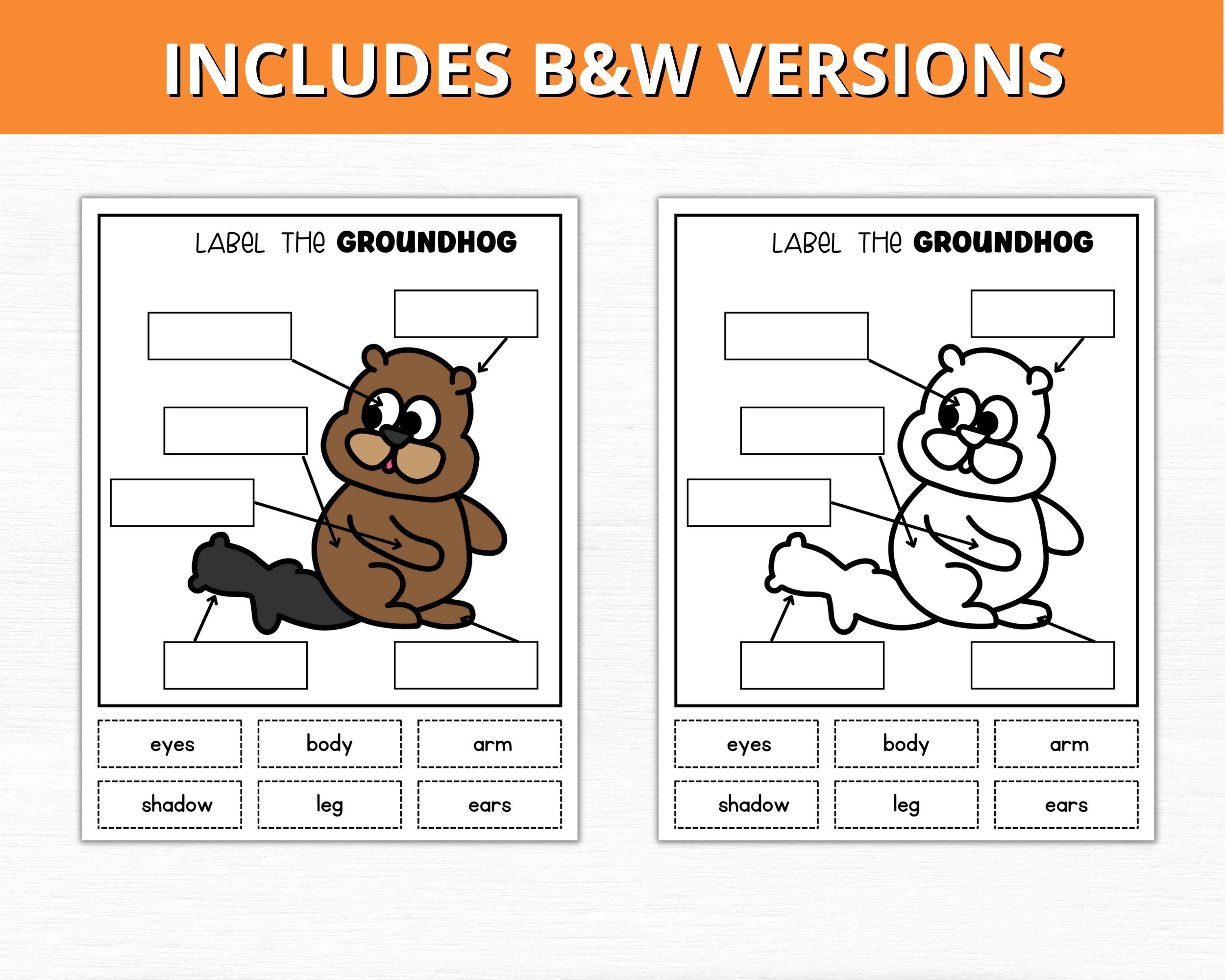 Groundhogs Day Activity, February 2nd Printables, Printable Groundhog ...