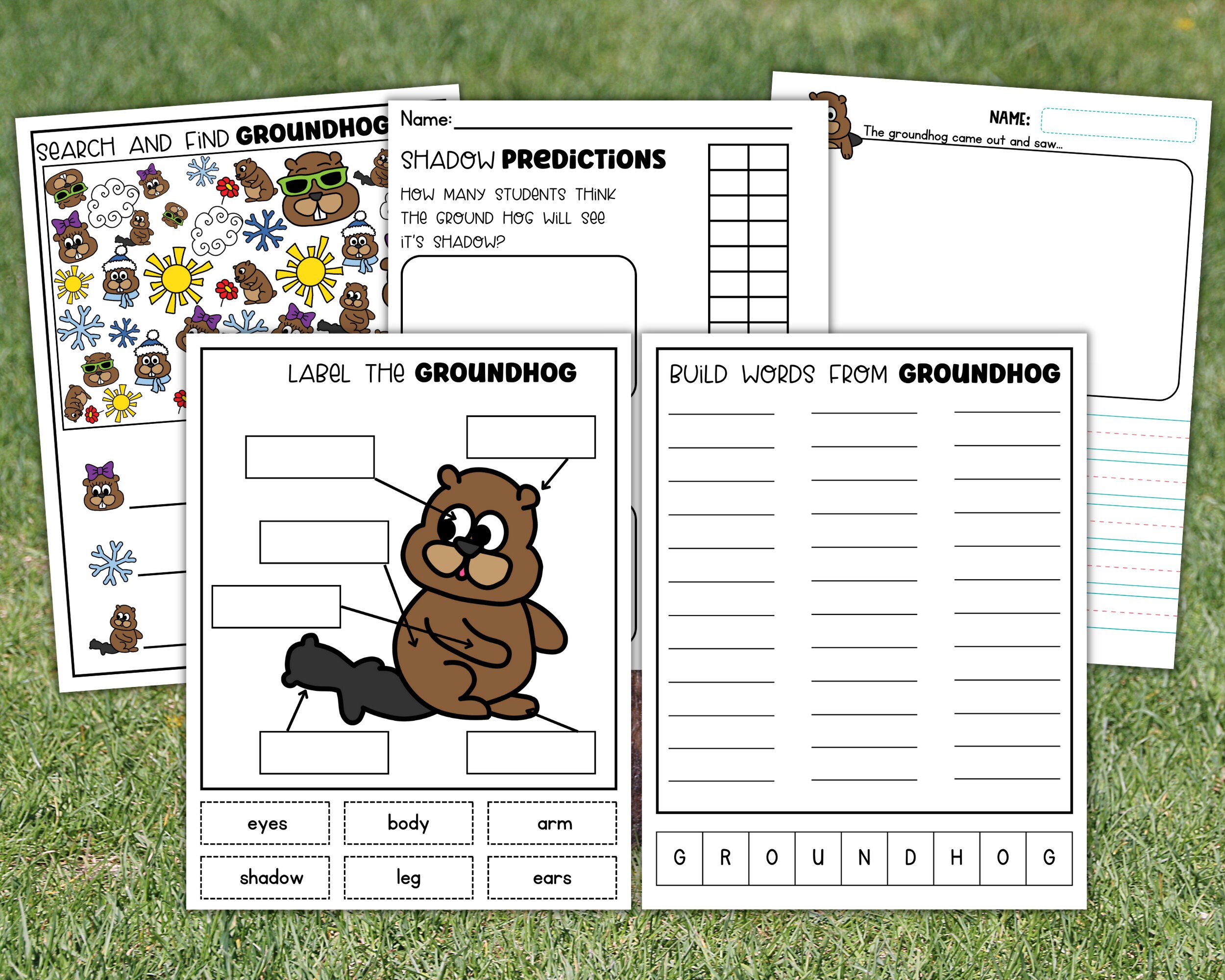 Groundhogs Day Activity, February 2nd Printables, Printable Groundhog ...